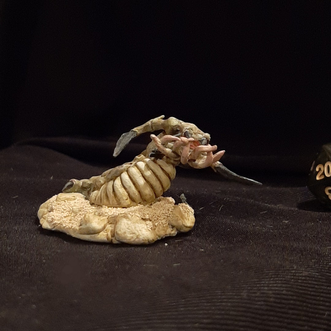 Crypt Worm Crawler 28mm Reaper Bones 5 Core Set Painted Tabletop RPG ...