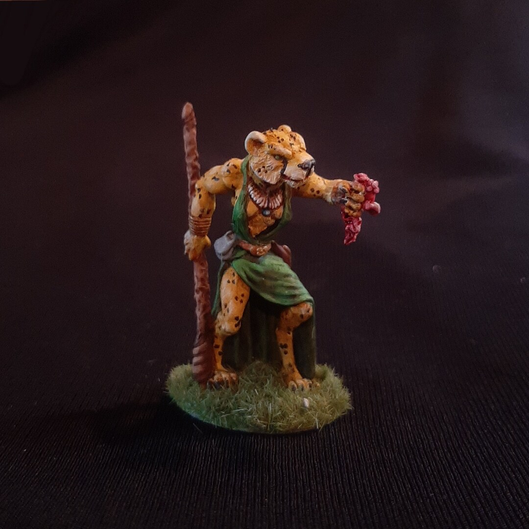 Cheetah Female Monk/shaman/priestess 28mm Painted Metal Reaper ...