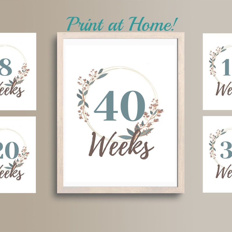 Pregnancy Weekly Signs - Etsy