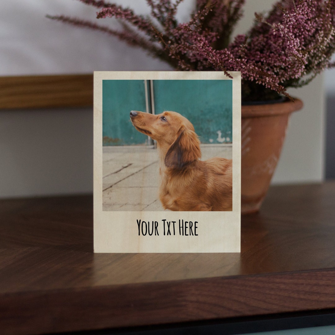 Sausage Dog Print, Wiener Dog Photo, Gift for Dachshund Owner, Hot Dog ...