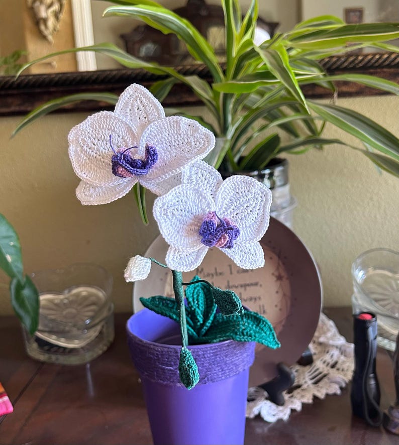 Orchid Crochet Pattern Includes Detailed Written Instructions and Video ...