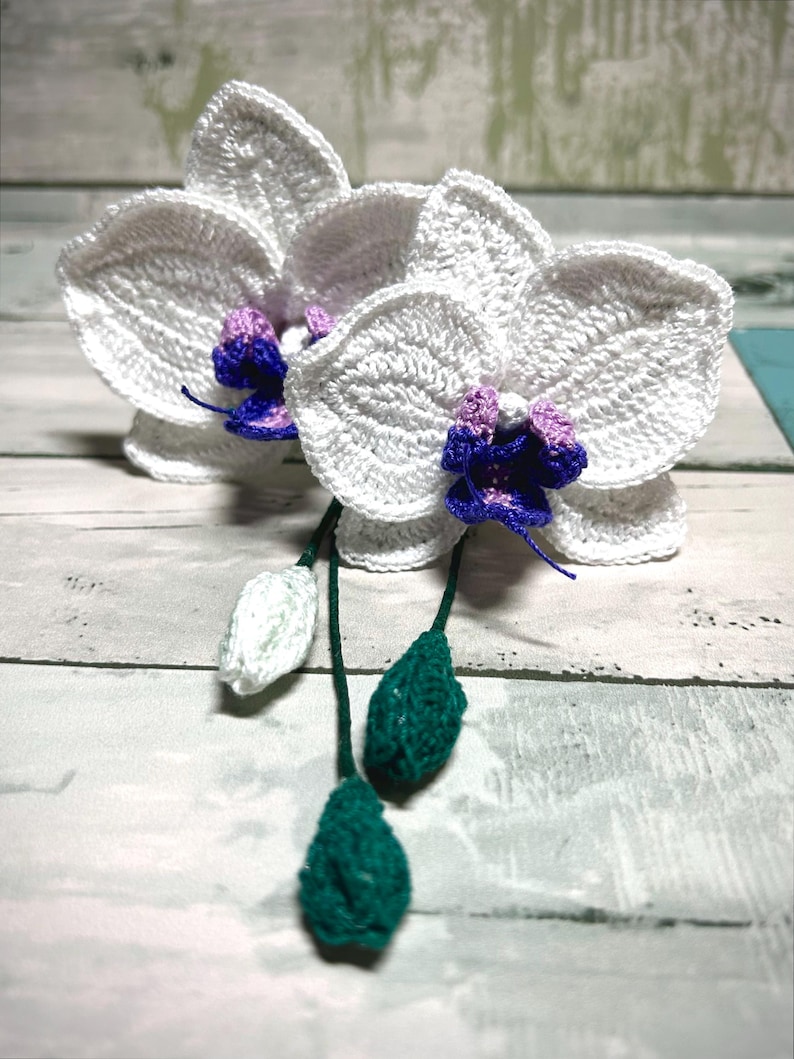 Orchid Crochet Pattern Includes Detailed Written Instructions and Video ...