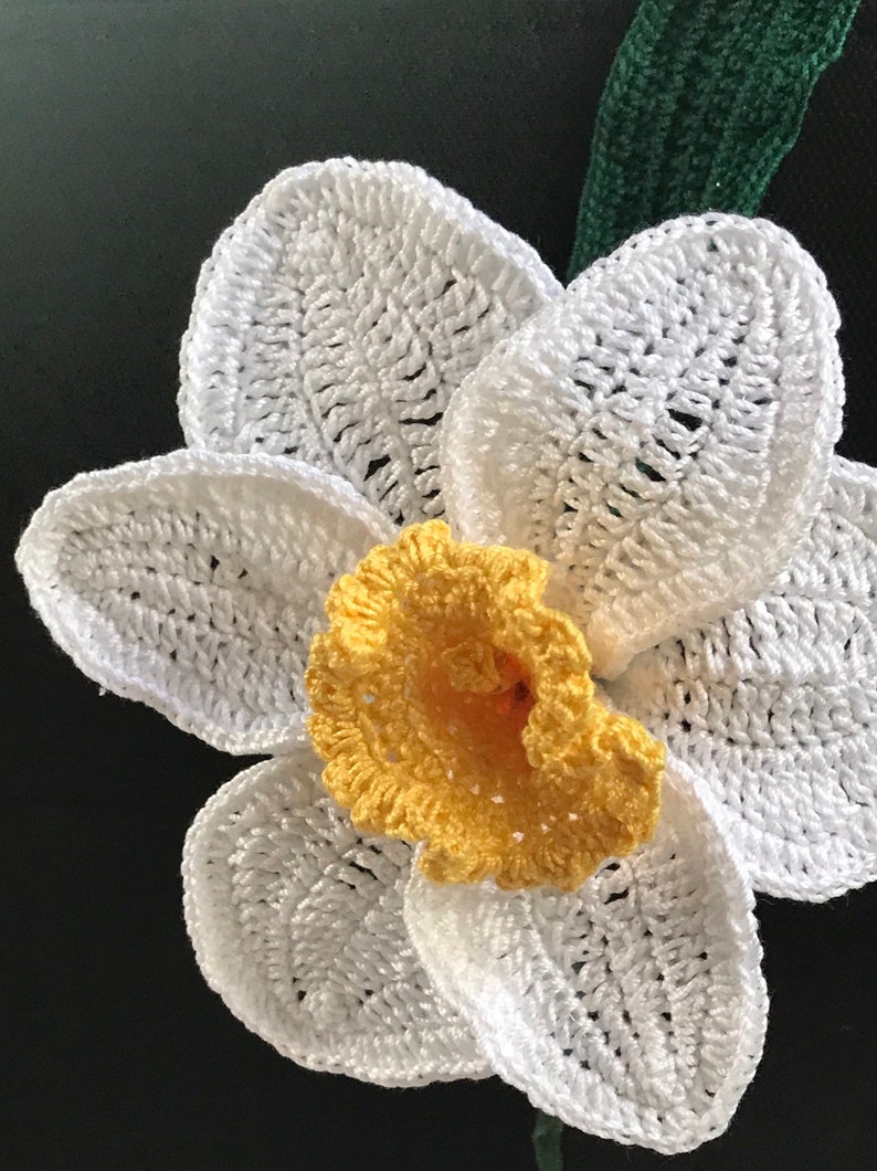 Daffodil Daffodil Crochet Flower Pattern Crochet Pattern - Etsy