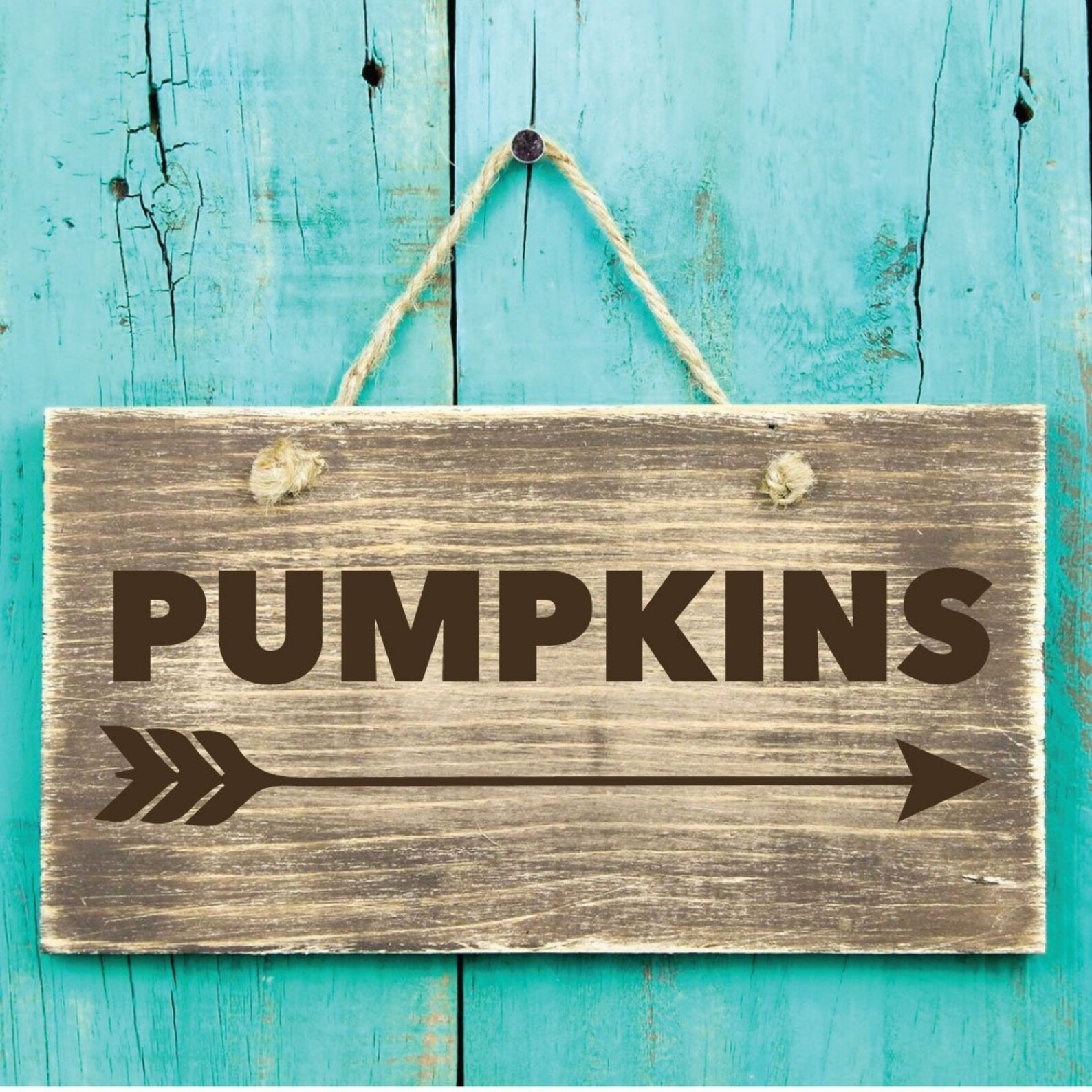 Fall Wall Decal Pumpkins Sign With Arrow Living Room - Etsy