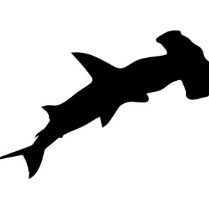 Hammerhead Shark Wall Decal - Etsy
