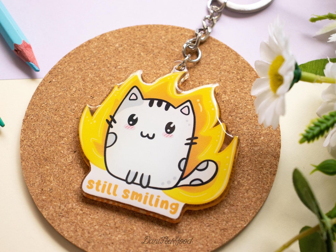 Funny Cat Keychain, Still Smiling, Meme Gray Tuxedo Cat Keyring, Kawaii ...