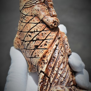 Oannes, Dagon Fish God, Dogon, Fish God, Nomu, Nomo, Extraterrestrial ...