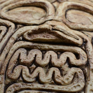 Humbaba, Guardian of the Cedar Forest, Epic of Gilgamesh, Gods, Coiled ...