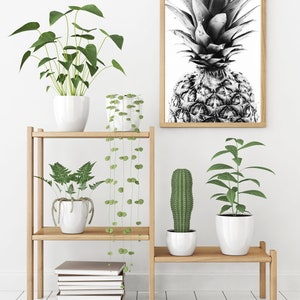 Pineapple Print, Pineapple Poster, Black and White, Tropical Print ...