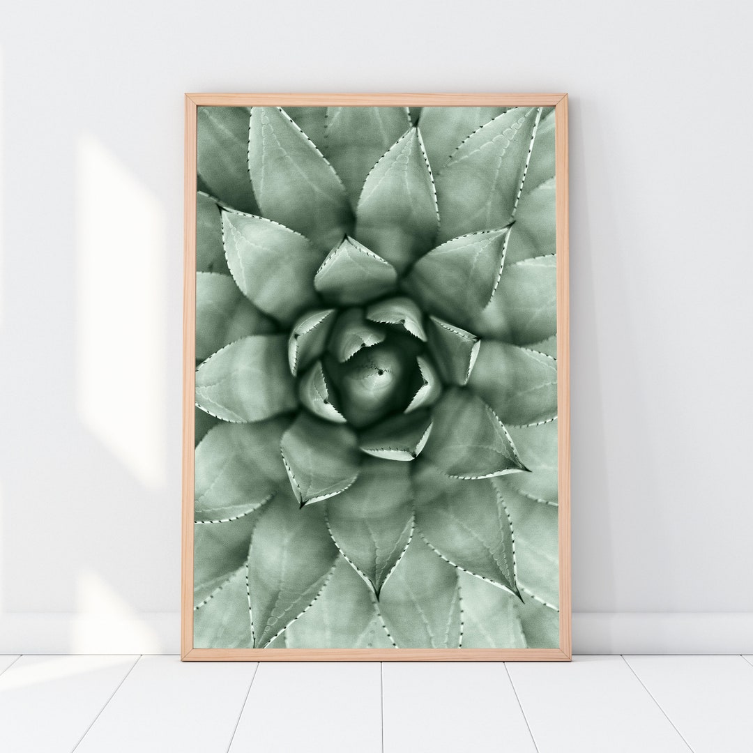 Succulent Print, Nature Art, Cactus Poster, Tropical Print, Botanical ...