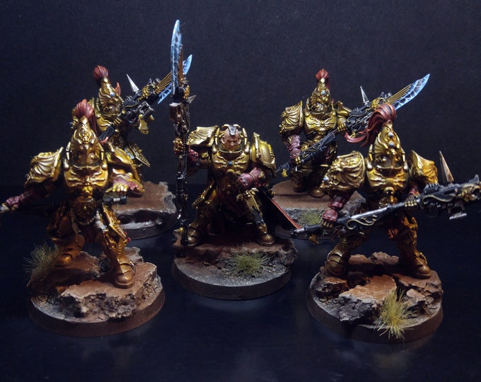 Adeptus Custodes - Combat Patrol - Warhammer 40K - Miniatures Painted ...