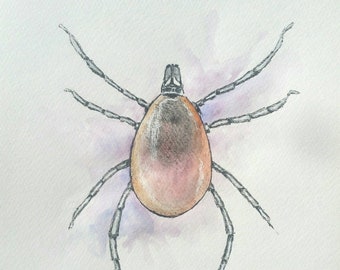 Desert Sunset Print Colorful Watercolor Wall Art Southwest - Etsy