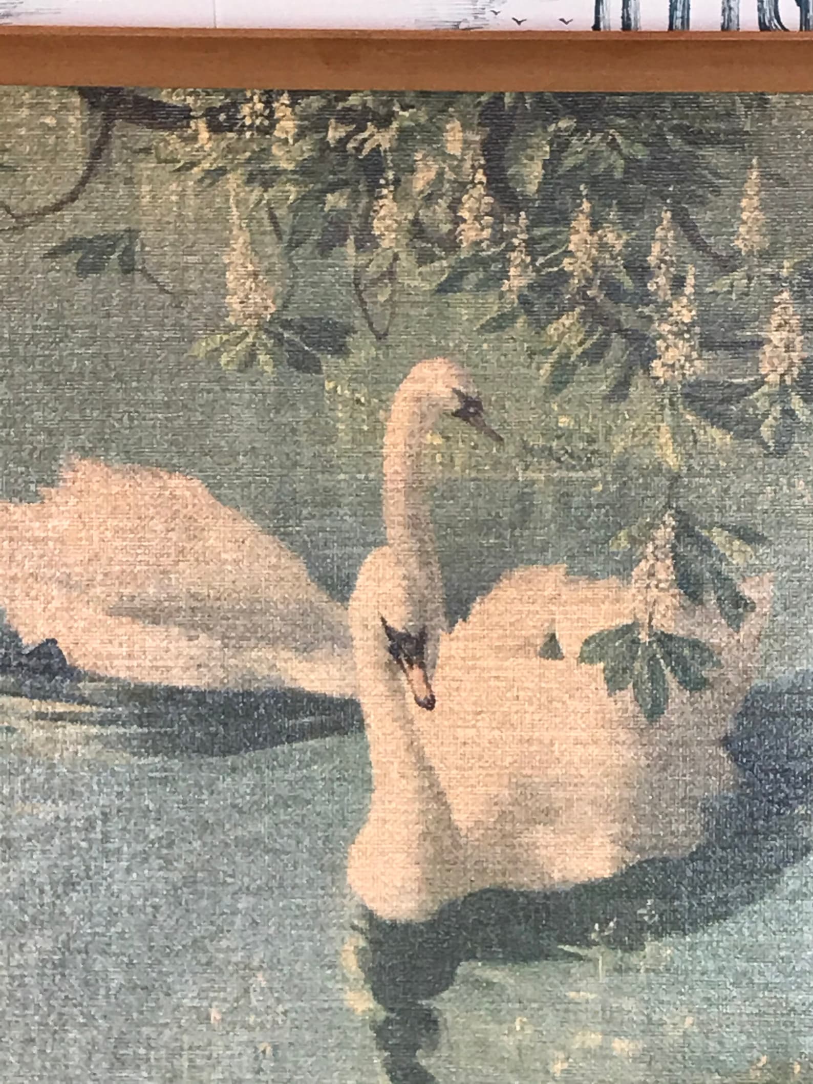 Vintage 1960/1970 Framed Swan Print Free Delivery - Etsy