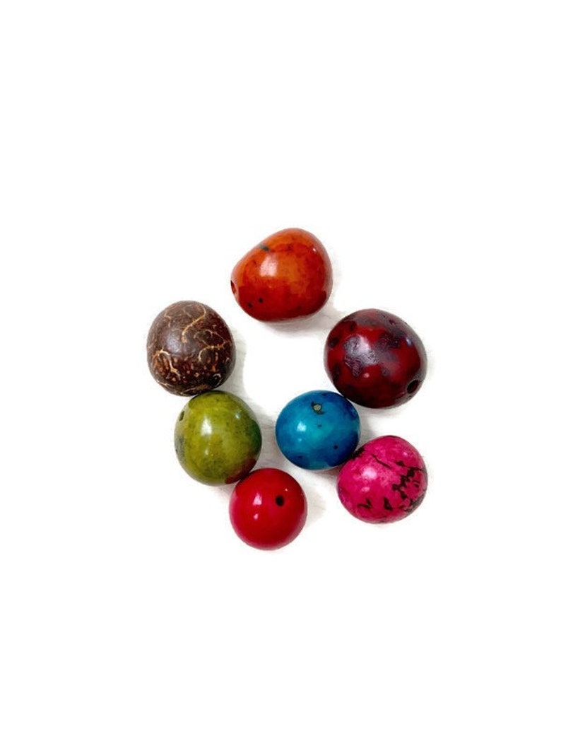 Pambil Beads in Mixed Colors 16-20mm TGP112 7 Pieces Tagua - Etsy