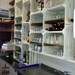 2x 6x 8x 12xvintage Furniture 24 New White Wooden Box With - Etsy