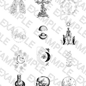 Macabre Curiosities Coloring Book for Adults (instant Download) PDF - Etsy