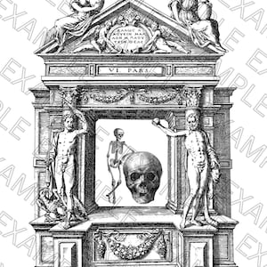 Macabre Curiosities Coloring Book for Adults (instant Download) PDF - Etsy