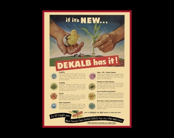 Dekalb Vintage Sign | Etsy