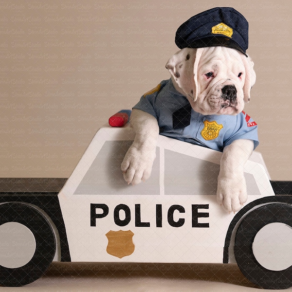 Car Photo Prop - Etsy