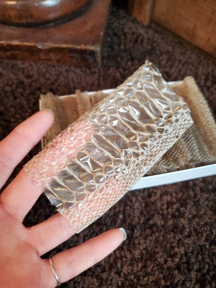Real Snake Skin for Protection Spells. 4pcs - Etsy Canada
