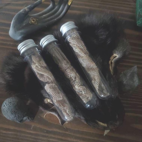 Snake Sheds - Etsy