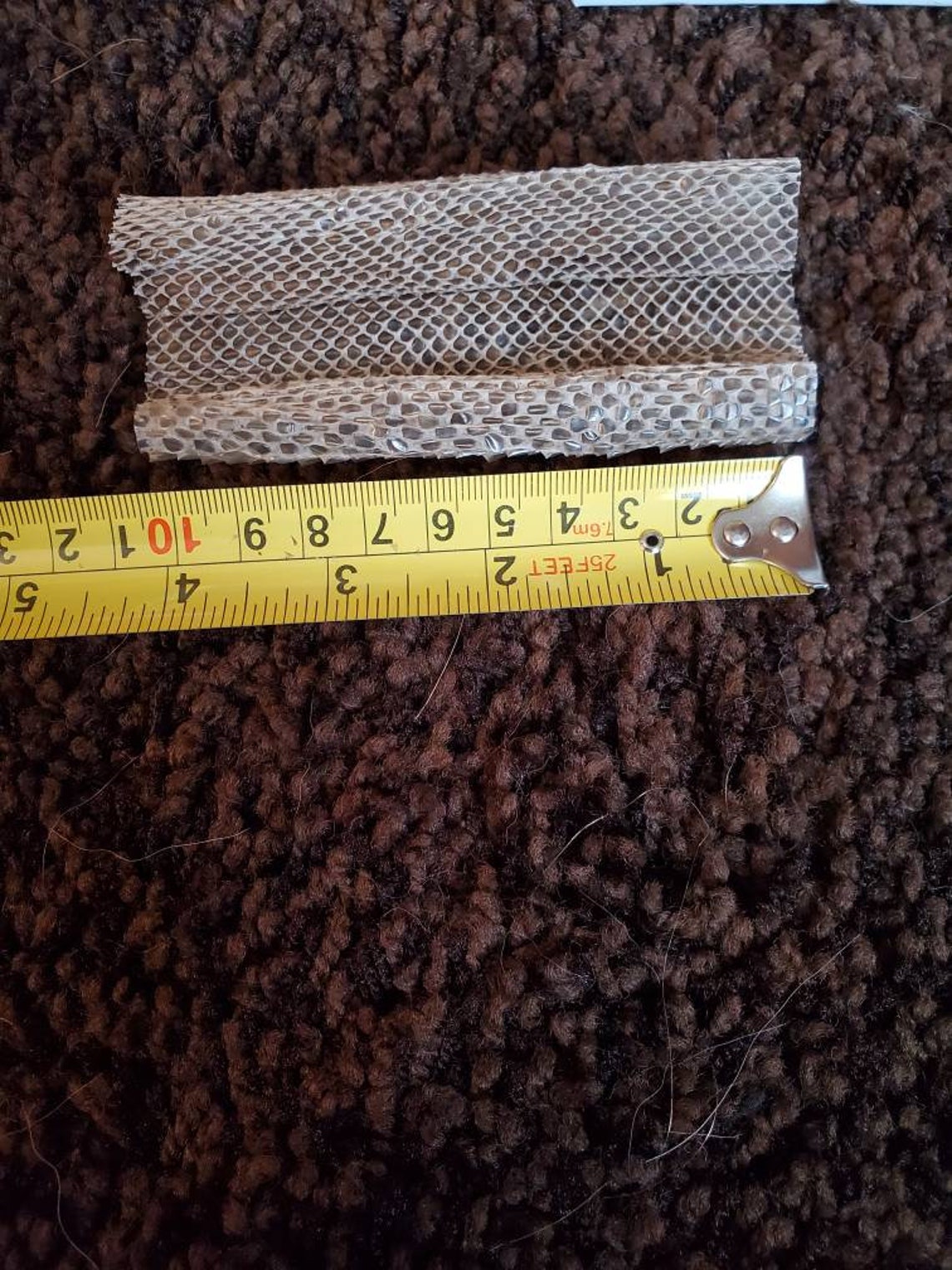 Real Snake Skin for Protection Spells. 4pcs - Etsy Canada