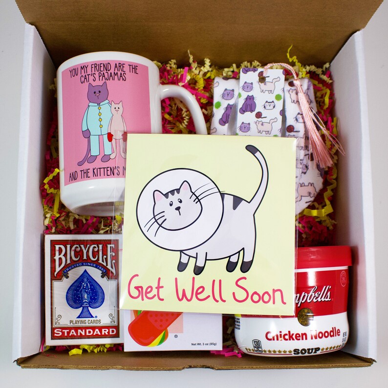 Cat Get Well Care Package Get Well Soon Gift Box Get Well | Etsy
