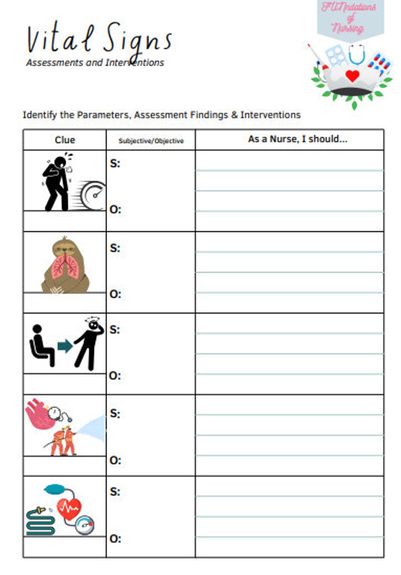 INSTANT DOWNLOAD Vital Signs: Interactive Notes - Etsy