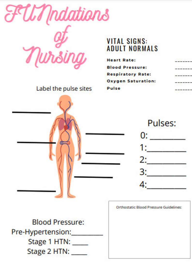 INSTANT DOWNLOAD Vital Signs: Interactive Notes - Etsy