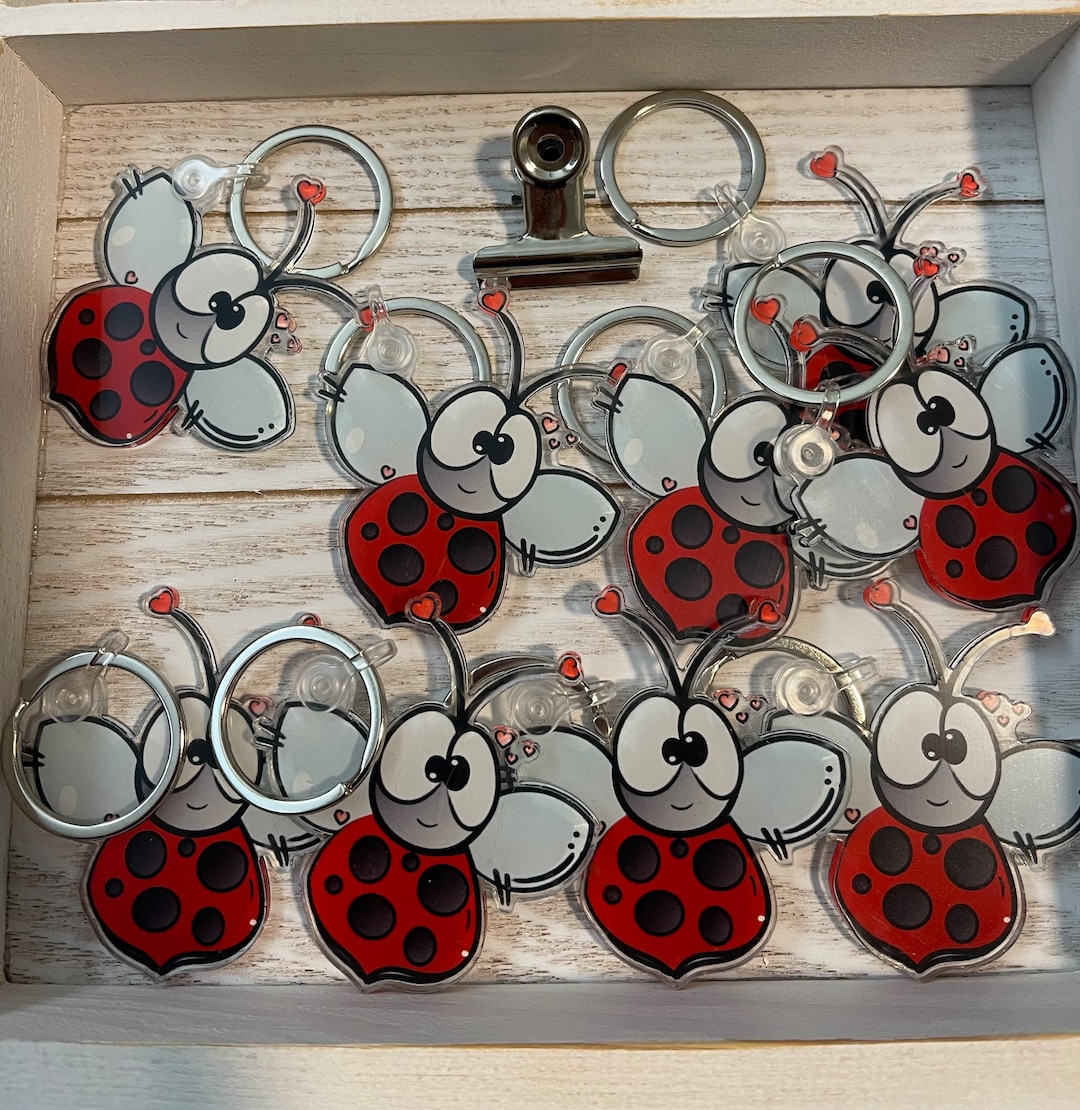 Lady Bug Acrylic Key Chain // Ladybug Keychain Decal / Punny Key Chain ...