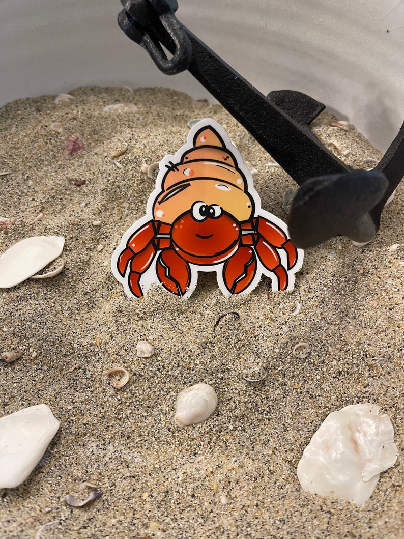 Cute Hermit Crab Vinyl Sticker // Canada Sticker // Crustaceans// Crabs ...