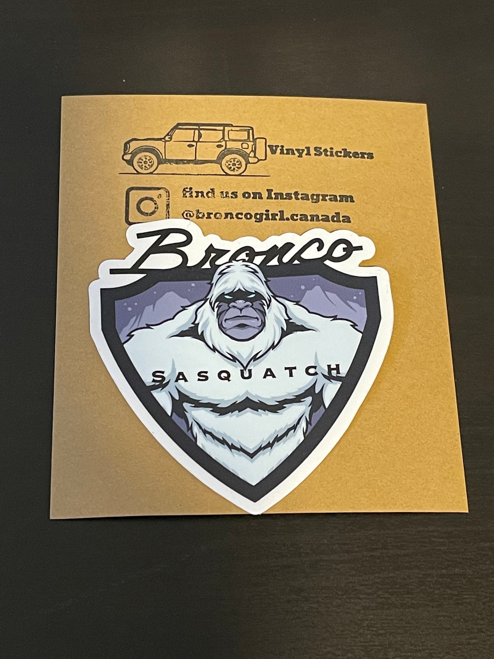 Bronco Classic Script Vinyl Sticker // Ford Bronco Sasquatch - Etsy