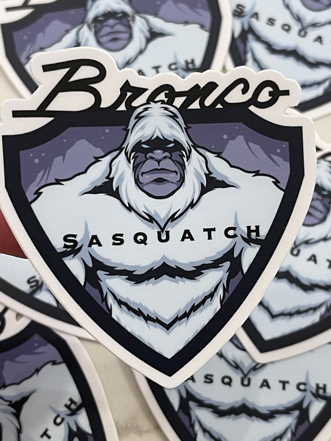 Bronco Classic Script Vinyl Sticker // Ford Bronco Sasquatch - Etsy