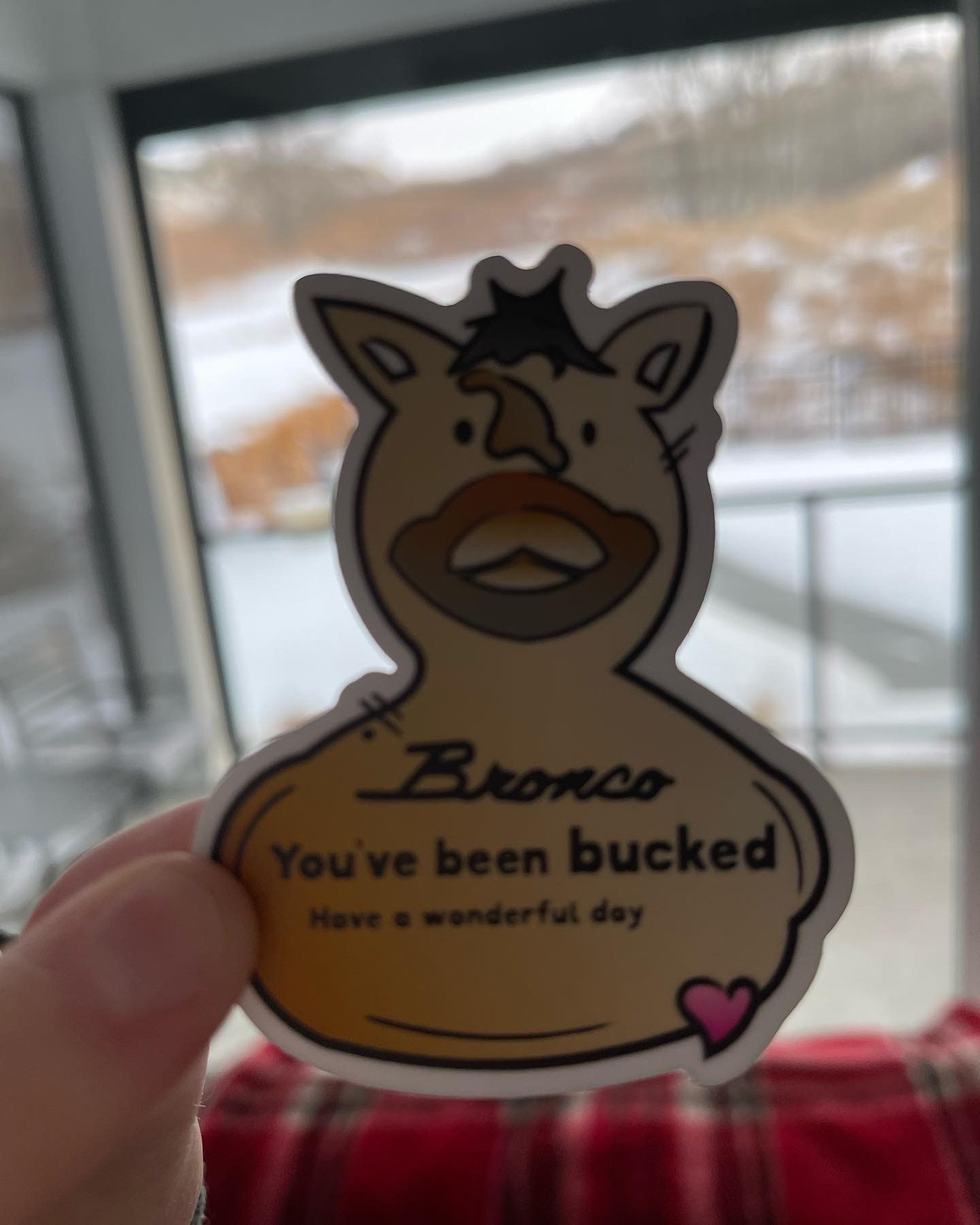 Bronco You've Been Bucked Bucking Vinyl Sticker - Etsy