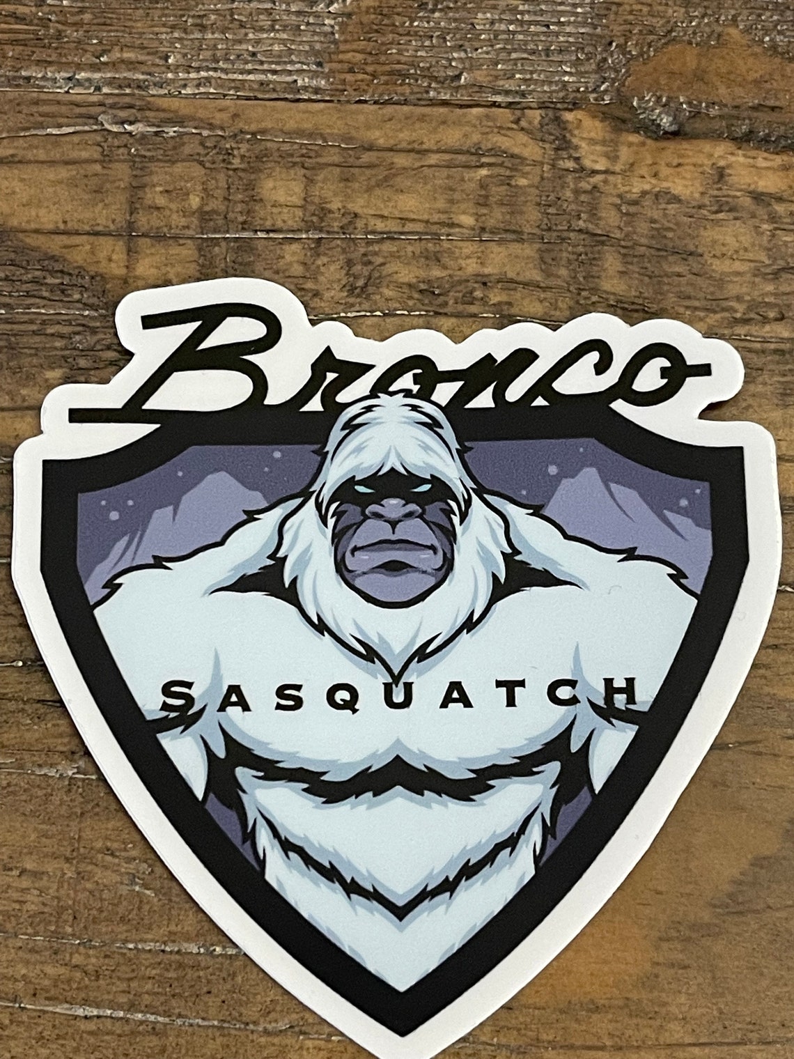 Bronco Classic Script Vinyl Sticker // Ford Bronco Sasquatch - Etsy