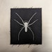 Spider Sew on Patch Goth Punk Alternative Oddities Handmade Patch - Etsy