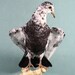 Handmade Taxidermy 3 Headed Yellow Duckling,mounted in Glass Dome ...