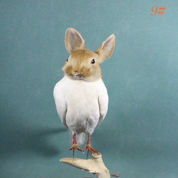 Rabbit Head - Etsy