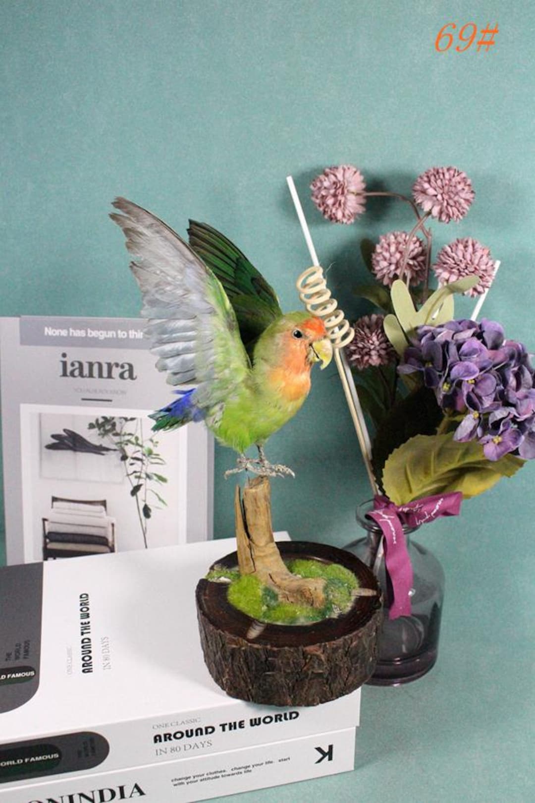 Taxidermy Bird Colorful Parrot Flying Love Bird Birthday Gift Crafts ...