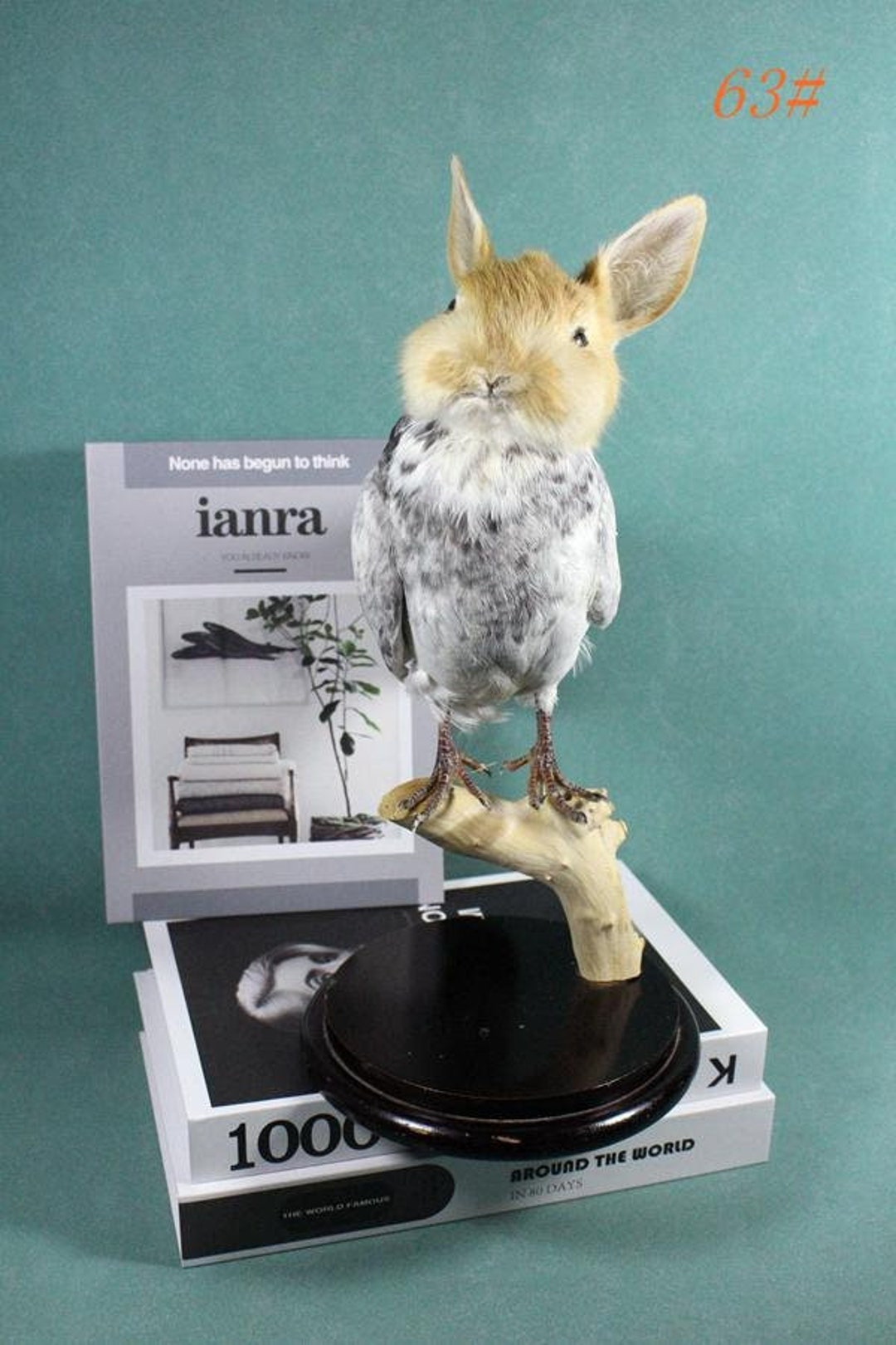 Taxidermy Yellow Rabbit Head on Dove Body,oddity Freak Crafts Gifts for ...