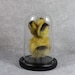 Taxidermy 3 Headed Yellow Duckling With Glass Dome Handmade Oddity Home ...