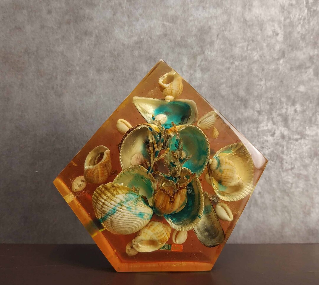 Vintage Resin Paperweight, Vintage Shell Paperweight, Vintage Tourist ...