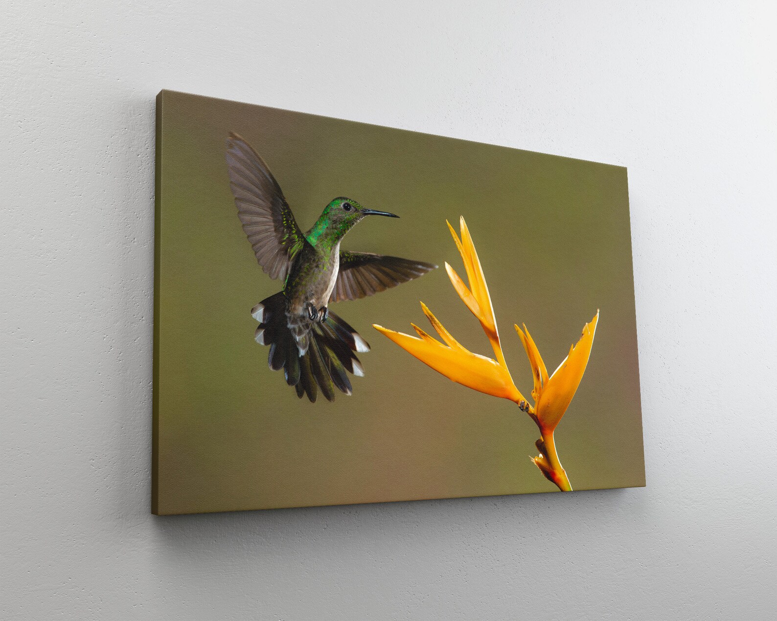 Flying Hummingbird Canvas Print Cute Nursery Animals Wildlife Poster ...
