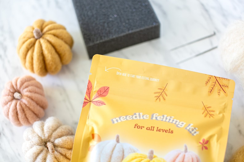 Felted Pumpkins Kit: Beginner Needle Felting, Fall Decor - Etsy