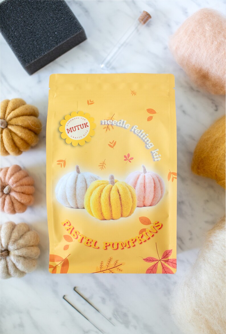 Felted Pumpkins Kit: Beginner Needle Felting, Fall Decor - Etsy