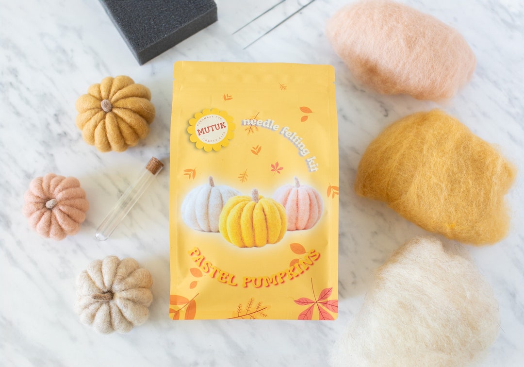 Felted Pumpkins Kit: Beginner Needle Felting, Fall Decor - Etsy