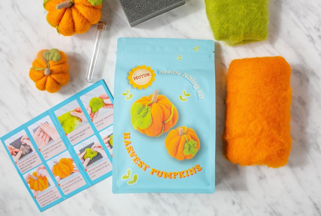 Needle Felting Kit: DIY Felted Pumpkins - Fall Decor Starter Set - Etsy