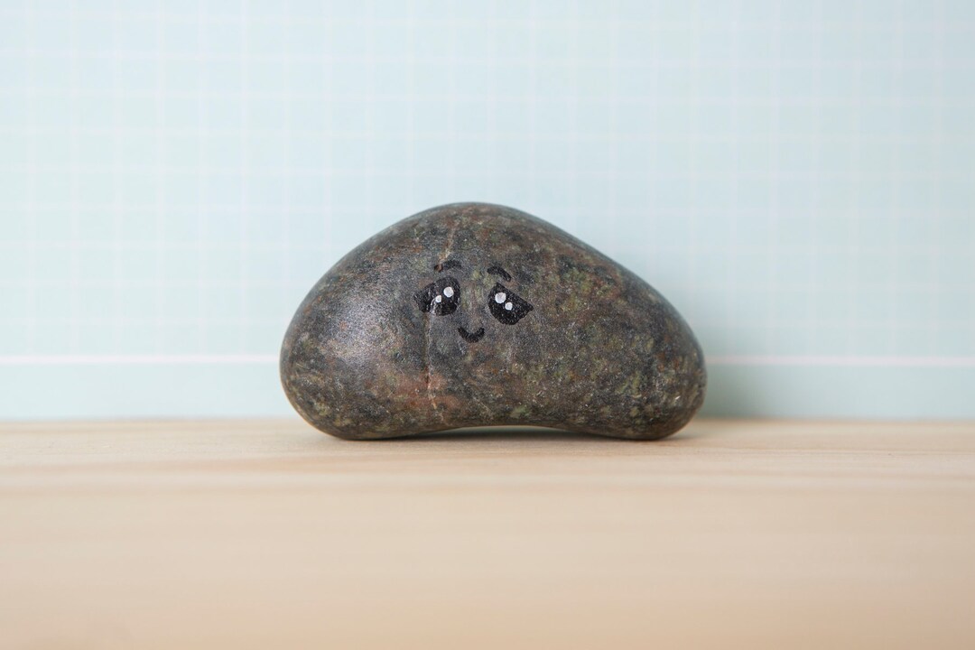 Small Pebble Buddy - Kawaii Cute Face - Pebble Friendly - Unique Gift ...