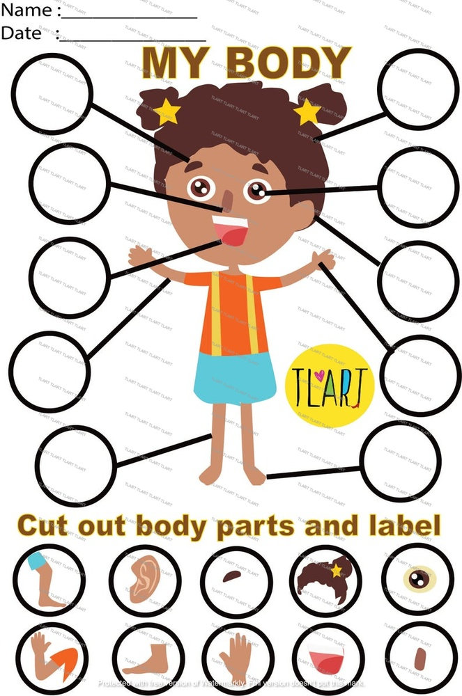 My Body Parts Labelling Activity, Early Year, Nursery, KS1, Teaching ...