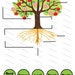 Parts of Tree, Labelling Activity, Early Year,nursery, Primary School ...